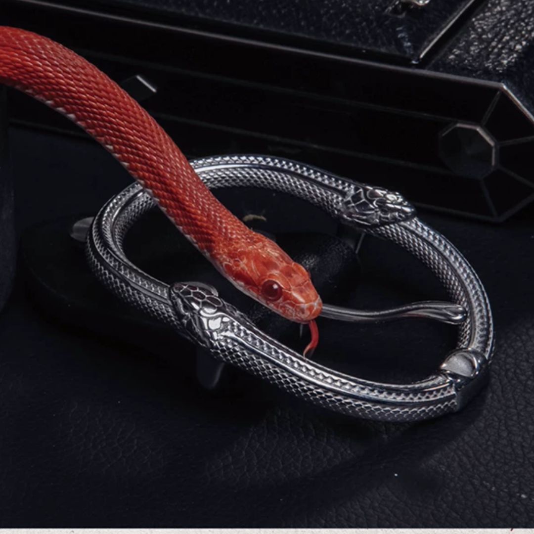 304 Stainless Steel Lost-wax Casting Serpentine Belt Buckle with Remov – CÍ OFFICIAL